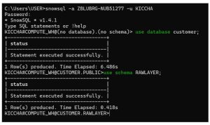 SnowSQL Setup & Connection - Tech Town
