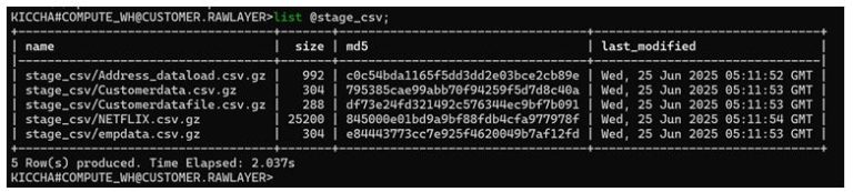 SnowSQL Setup & Connection - Tech Town